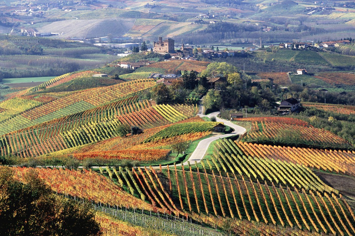 Piëmonte | Artevino